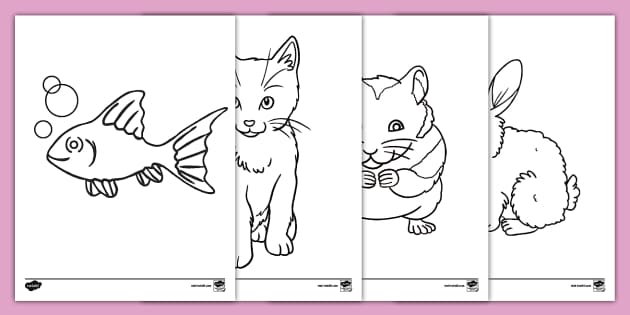 coloring pages about pets