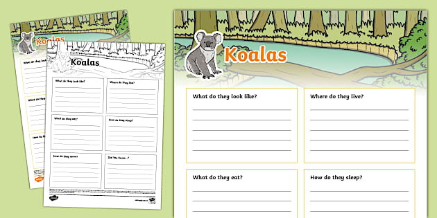 Koala Fact File Template (creat de profesori) - Twinkl