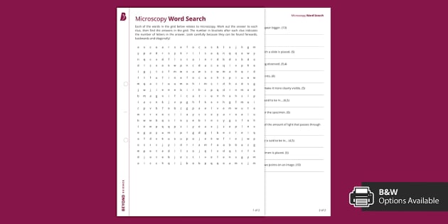 Microscopic Organisms Word Search (teacher made) - Twinkl