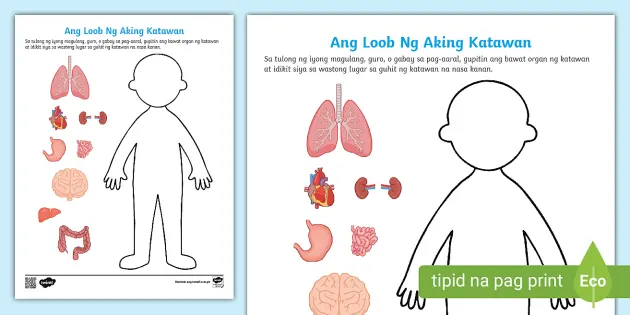 FREE Filipino Flashcards Body Parts (Bahagi Ng Katawan) —, 45% OFF