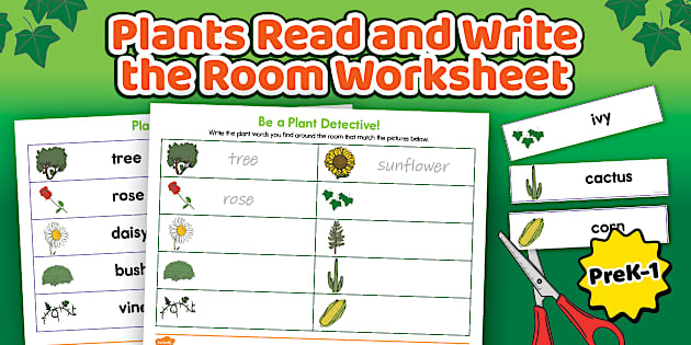 Plants Read and Write the Room Worksheet - Twinkl