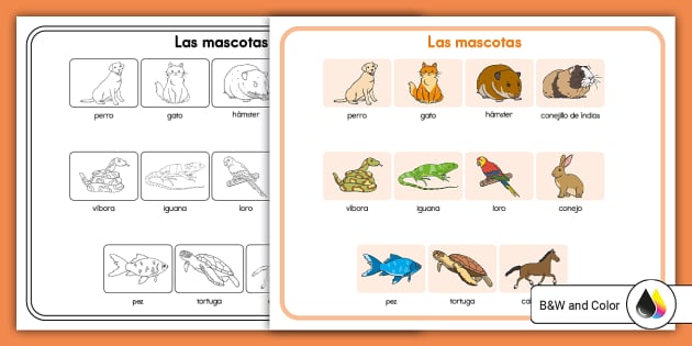 Tapete de palabras: Las mascotas (teacher made) - Twinkl