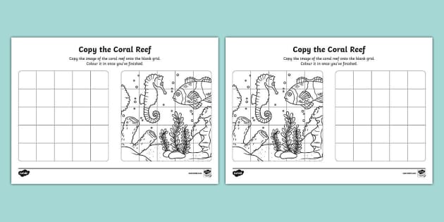 Copy the Coral Reef Worksheet (teacher made) - Twinkl