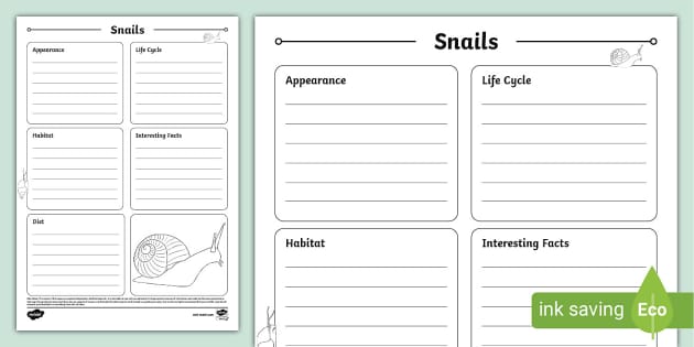 Snails Fact File Template (creat de profesori) - Twinkl