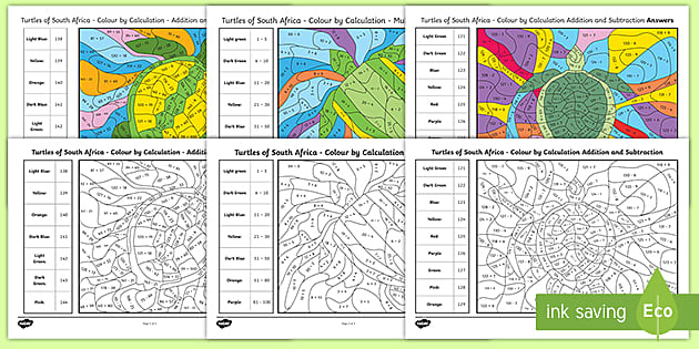 Turtles of Southern Africa Colour by Calculation Sheet
