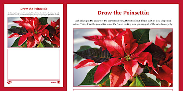 Draw the Poinsettia Art Activity