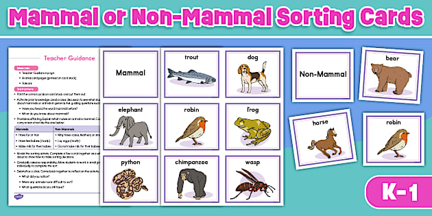 Mammal or Non-Mammal Sorting Cards for K-1st Grade