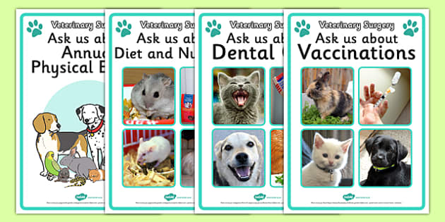 Vet's Surgery Advice Display Posters - Vets, vet, photo, display