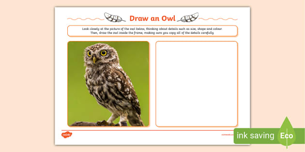 Draw an Owl Art Activity (teacher made)