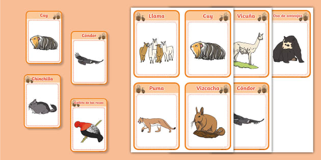 Tarjetas educativas: Animales de la sierra (Perú) - Twinkl
