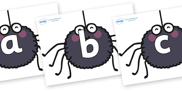 Phoneme Set on Spiders (teacher made) - Twinkl