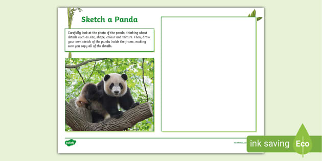 Draw a Panda Art Activity (creat de profesori)