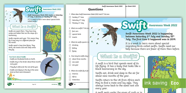 * NEW * KS1 Swift Awareness Week Reading Comprehension Activity