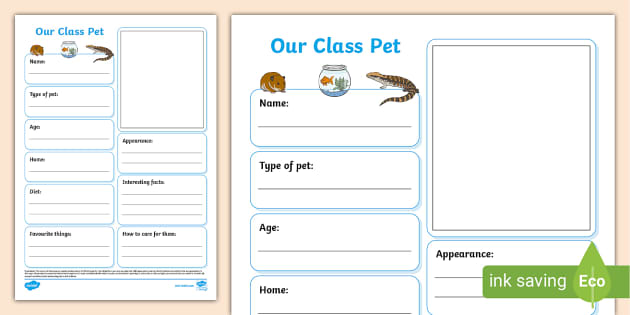 Our Class Pet Fact File Template,super pets - Twinkl
