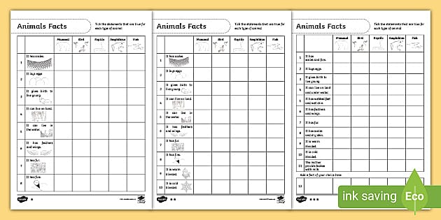 Animal Classification Differentiated Activity (teacher made)
