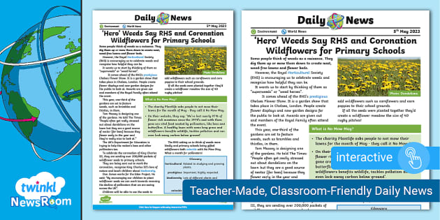 ‘Hero’ Weeds Say RHS and Wildflowers for Primary Schools | News for Kids