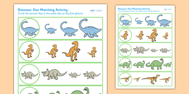 Dinosaur Size Matching Worksheet (teacher made)