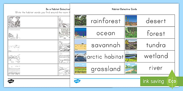 Habitats Read and Write the Room Worksheet (teacher made)