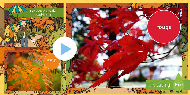 PowerPoint : Les couleurs de l'automne en photo - Twinkl