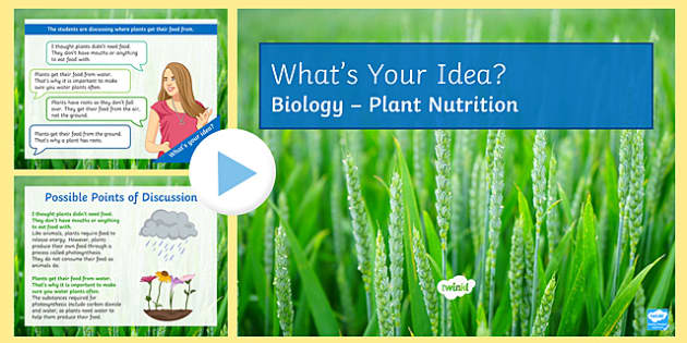 Plant Nutrition What's Your Idea? PowerPoint (Teacher-Made)
