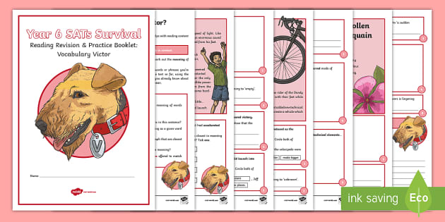 Year 6 SATs Survival: Vocabulary Victor Reading Revision & Practice Booklet