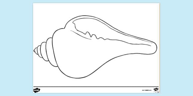 FREE! - Conch Colouring | Colouring Sheets (teacher made)