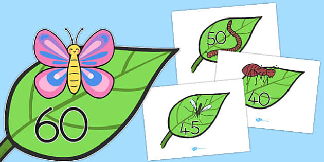 Numbers 40-60 on Minibeasts (teacher made) - Twinkl