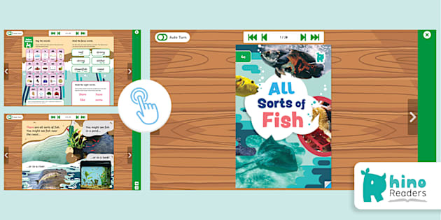 Level 4c All Sorts of Fish eBook