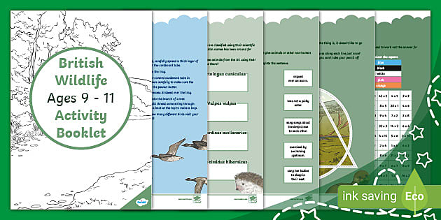 British Wildlife Activities for Kids - Twinkl