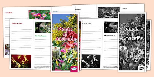 Plants of Australia Leaflet Template - Twinkl - Science