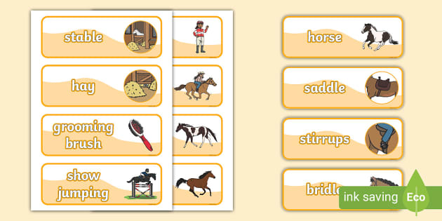 Horse Word Cards (teacher made) - Twinkl
