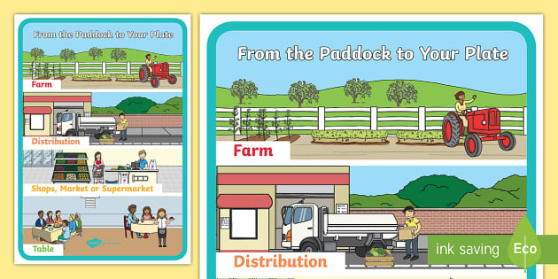Paddock to Plate Display Poster (teacher made)