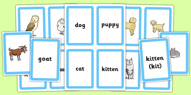 Animals and Their Young Matching Picture and Word Cards