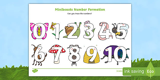 Minibeast Number Formation Activity Sheet