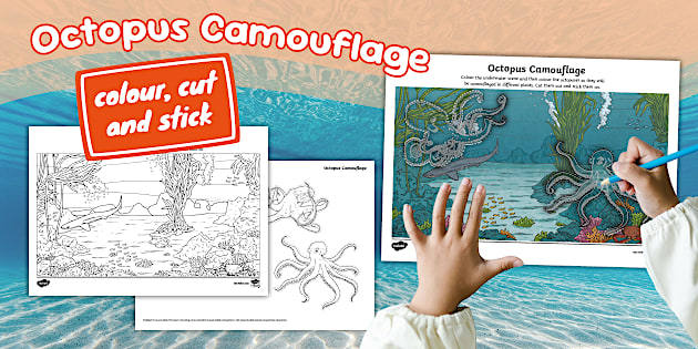 Octopus Camouflage Colour and Cut Activity Sheet - Twinkl