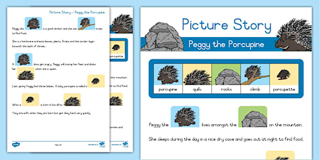 Picture Story - Peggy the Porcupine (teacher made) - Twinkl