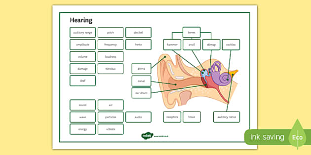 Hearing Word Mat (creat de profesori) - Twinkl