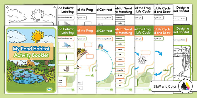 Pond Habitat Activity Booklet for K-1st Grade (teacher made)
