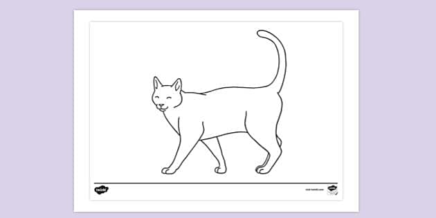 Cat Colouring Sheet 8 - Colouring Sheets - Twinkl