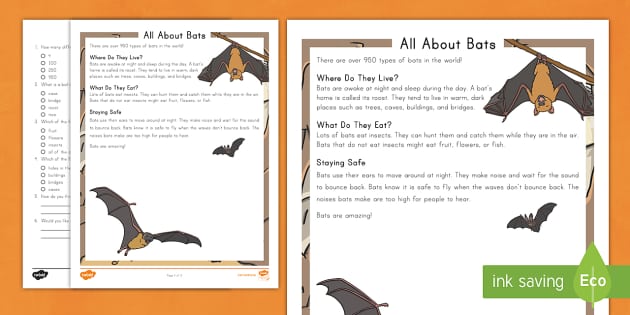 Second Grade All About Bats Reading Comprehension Activity