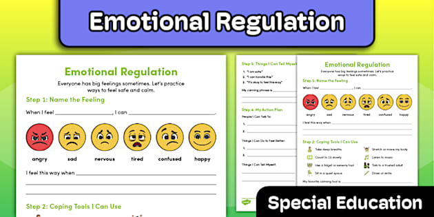 Emotional Regulation Worksheet for Special Education