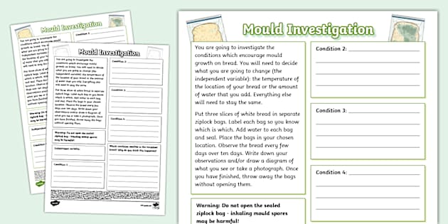 Mould Investigation Worksheet (professor feito) - Twinkl Mould Investigation Worksheet (professor feito) - Twinkl