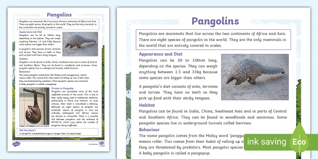 KS2 Pangolins Fact File - Parents - Science and STEM