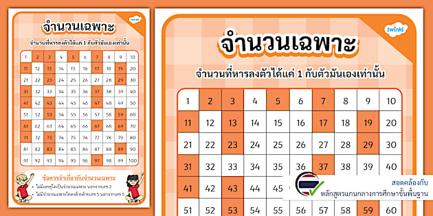 โปสเตอร์จำนวนเฉพาะ - Prime Numbers Display Poster
