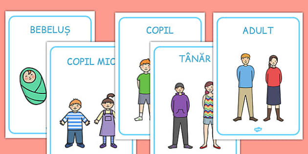 👉 Creșterea și dezvoltarea umană - Planșe