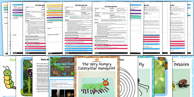 EYFS Minibeasts Adult Input Planning and Resource Pack
