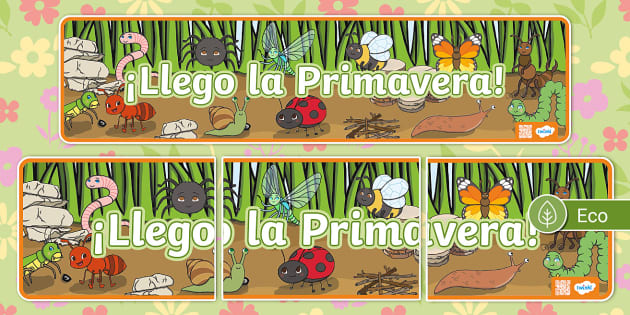 Cartel: Primavera - Pequeños Insectos - Twinkl