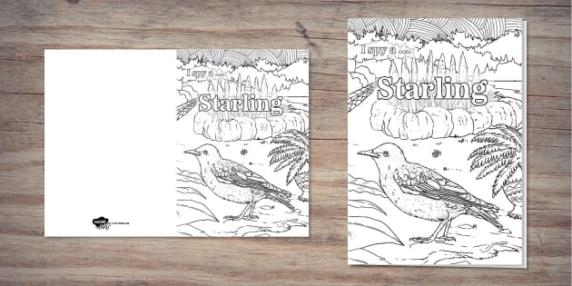 Starling Colouring Card | Twinkl Party (teacher made)