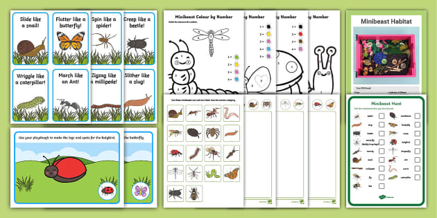 Kindergarten Minibeasts Resource Pack (Ages 3-5) - Twinkl