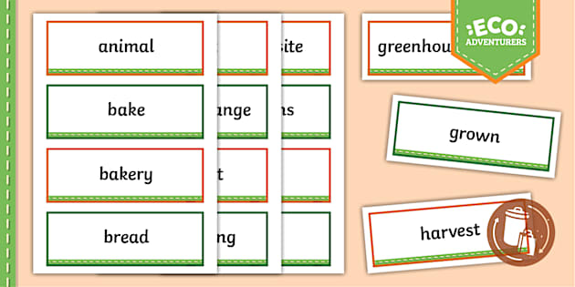 Year 3 Waste: Key Vocabulary Cards (teacher made) - Twinkl